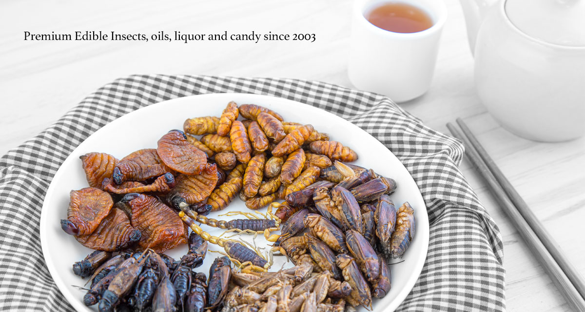 Edible Insects for sale US, UK, Japan and worldwide