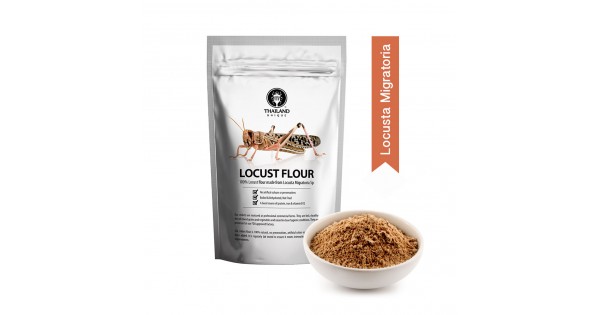 Locust Flour (Locusta migratoria) 100g