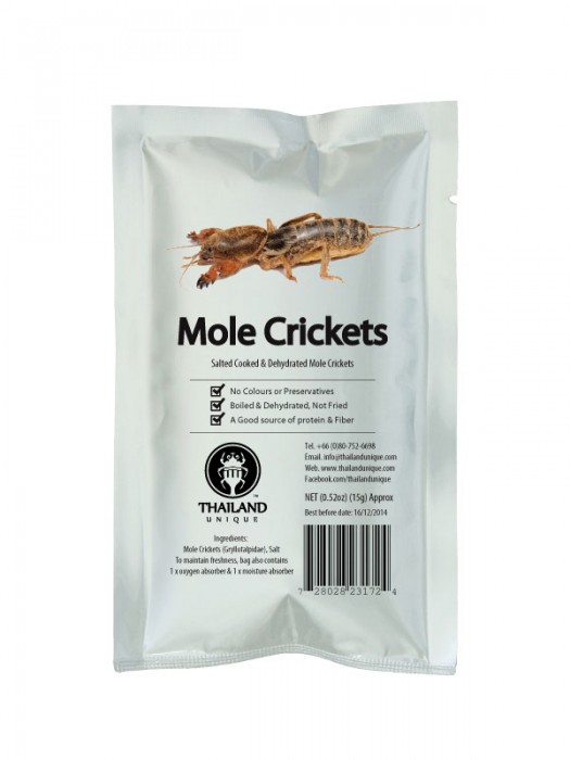 Edible Mole Crickets - Gryllotalpidae