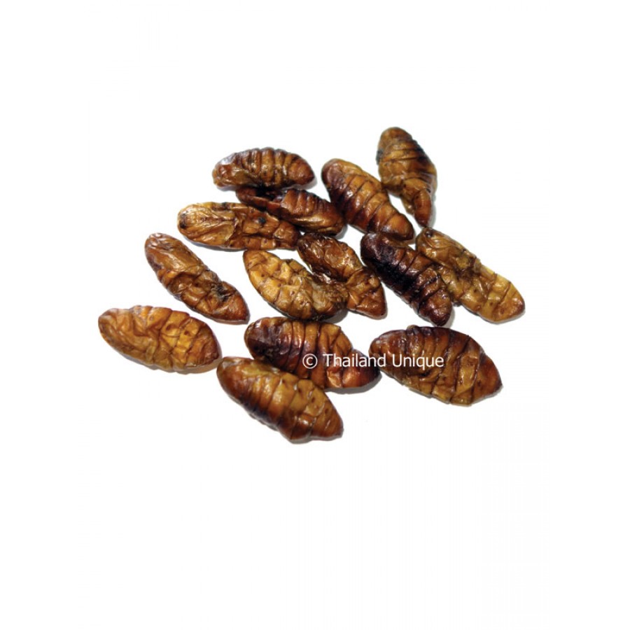 Are Silkworms Edible at Trent Lopez blog