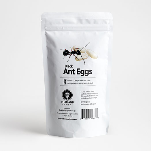 Edible Insects For Sale Since 2003 - Worldwide Shipping - Trusted ...