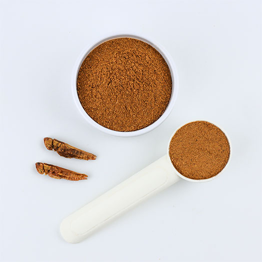 Insect Protein Powders - Flours made from Crickets, locusts and more