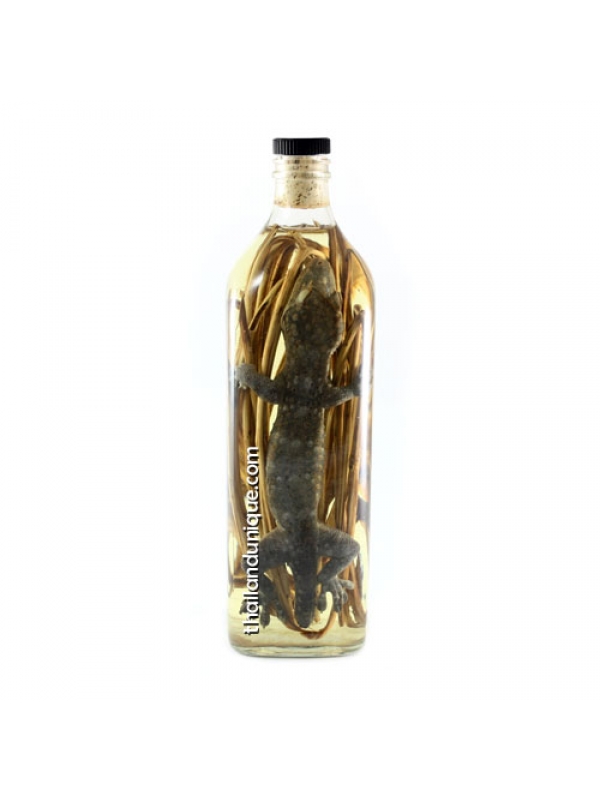 Gecko Lizard Whiskey Infusion