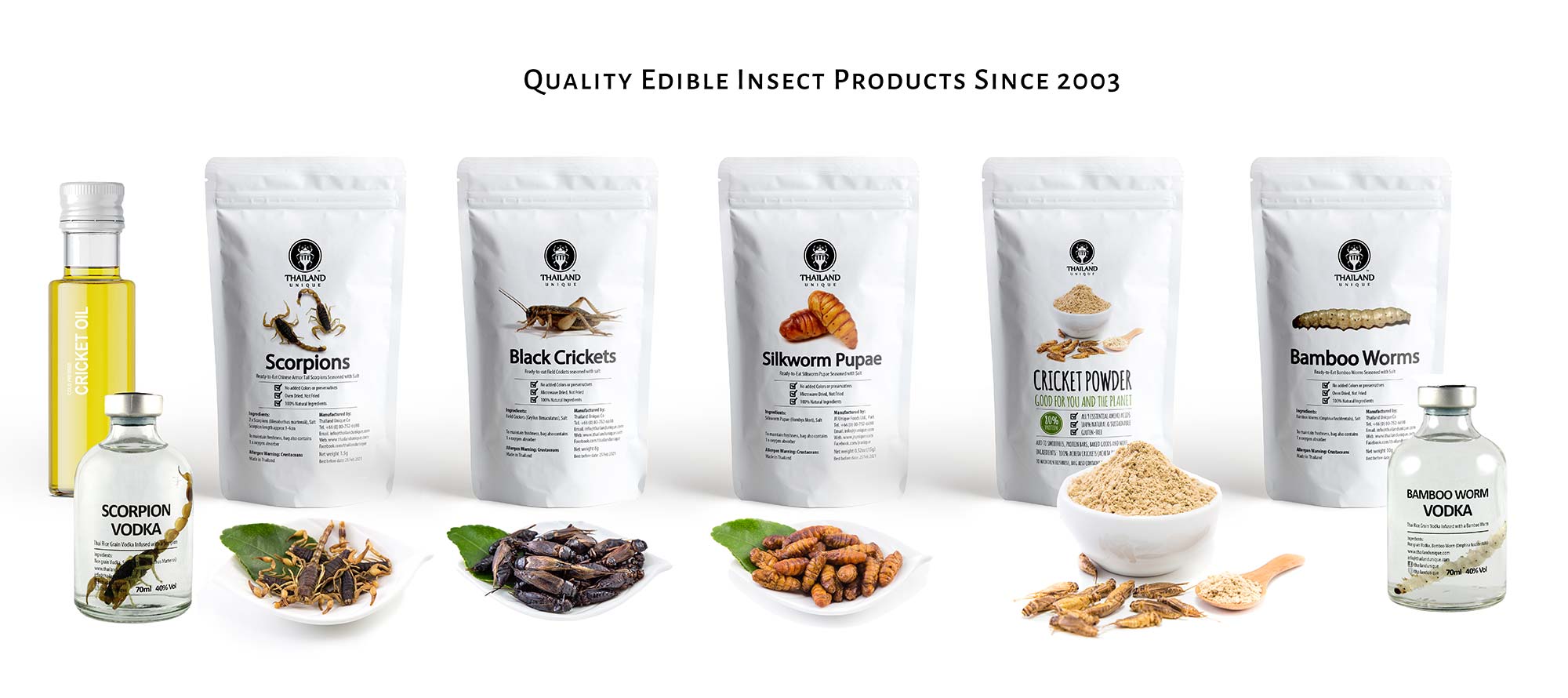 Edible Insects